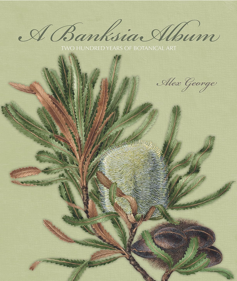 A Banksia Album: 200 Years of Botanical Art by Alexander S. George ...