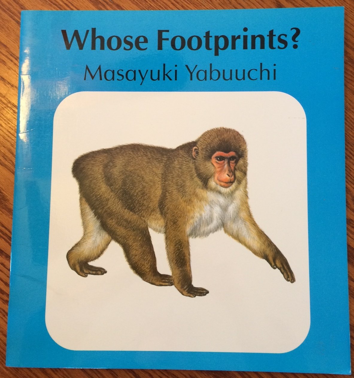 Whose Footprints?: Grd.1 Big Book by MACMILLAN/MCGRAW | Goodreads