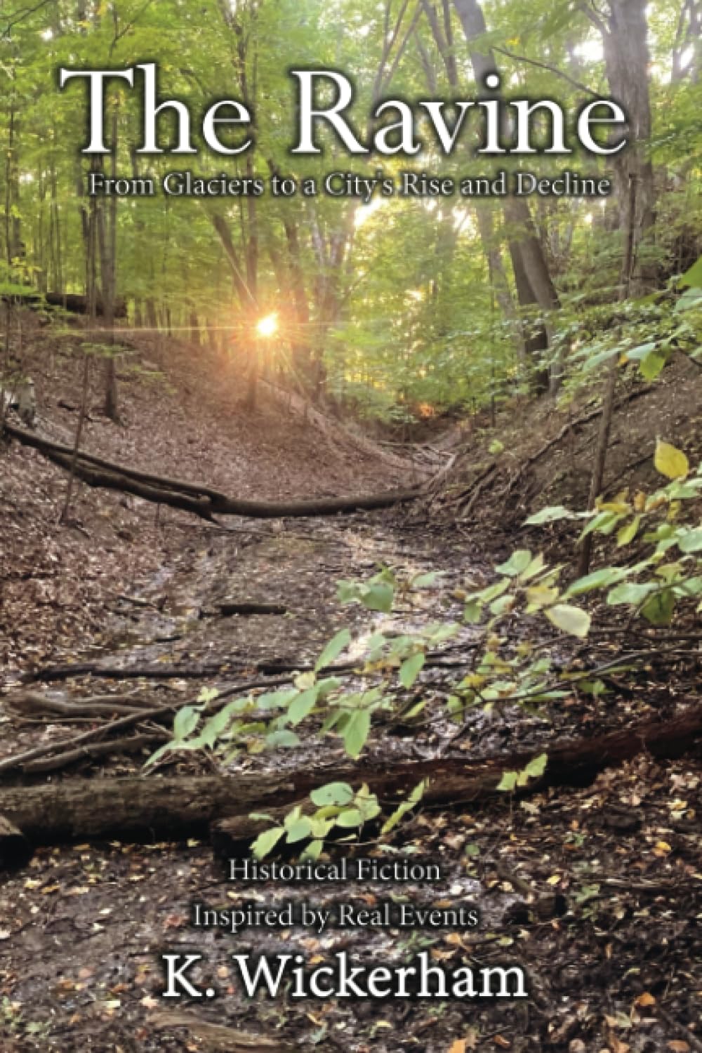 The Ravine: From Glacier's to a City's Rise and Decline by K Wickerham ...