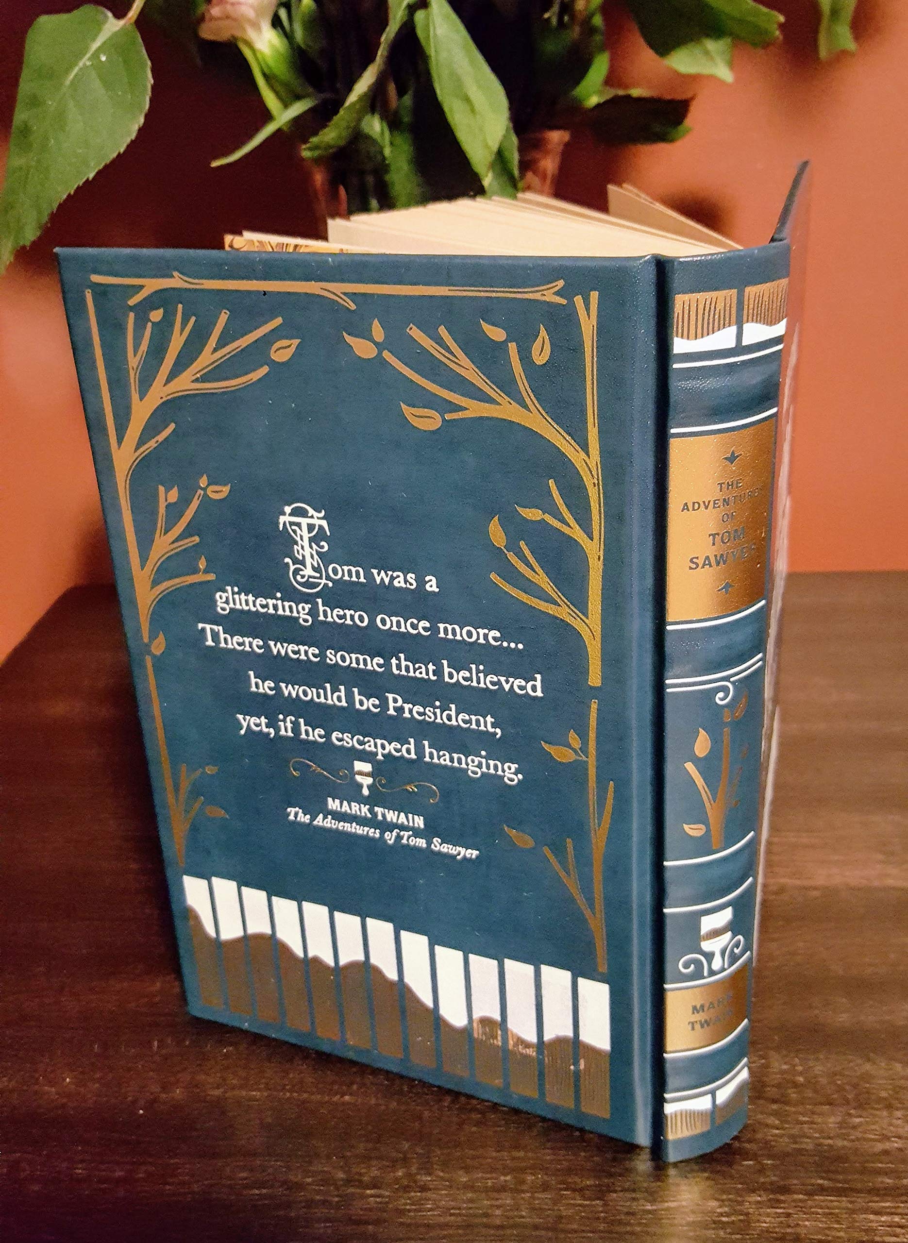 Adventures of Tom Sawyer, The (Barnes & Noble Leatherbound Classic ...
