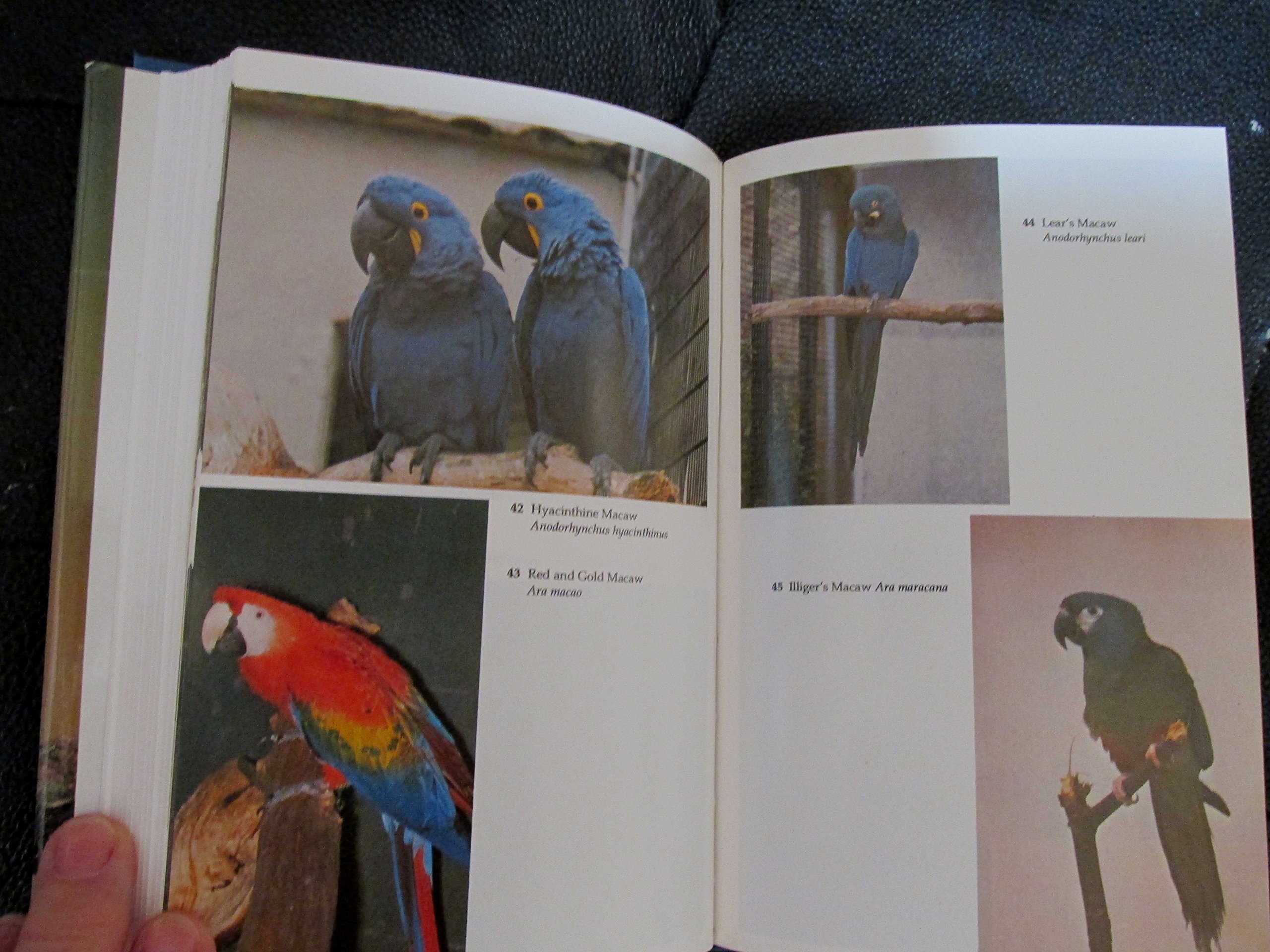 The Handbook of Cage and Aviary Birds by David Alderton | Goodreads