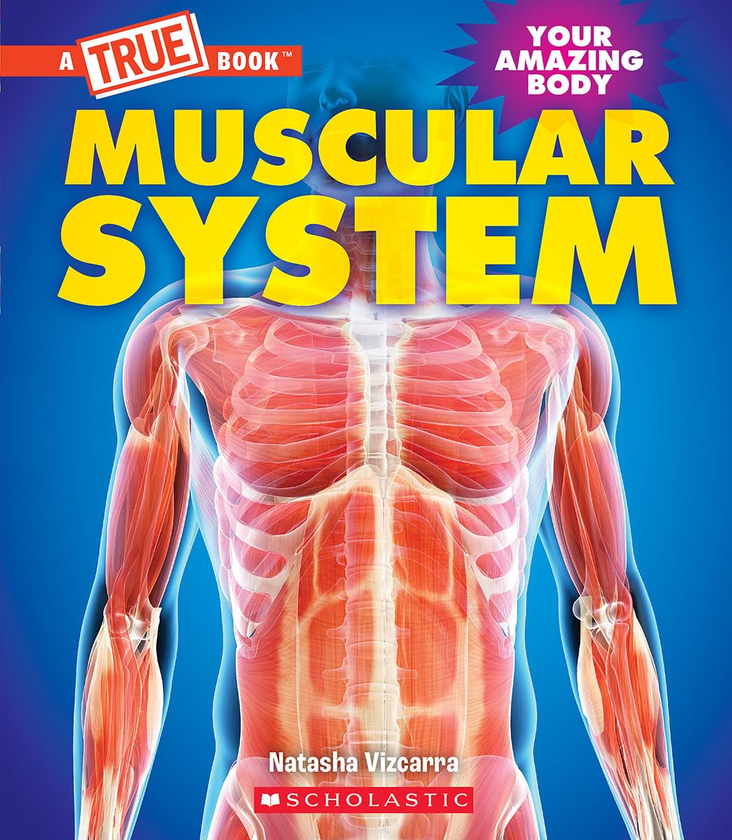 Muscular System (A True Book: Your Amazing Body) by Natasha Vizcarra ...