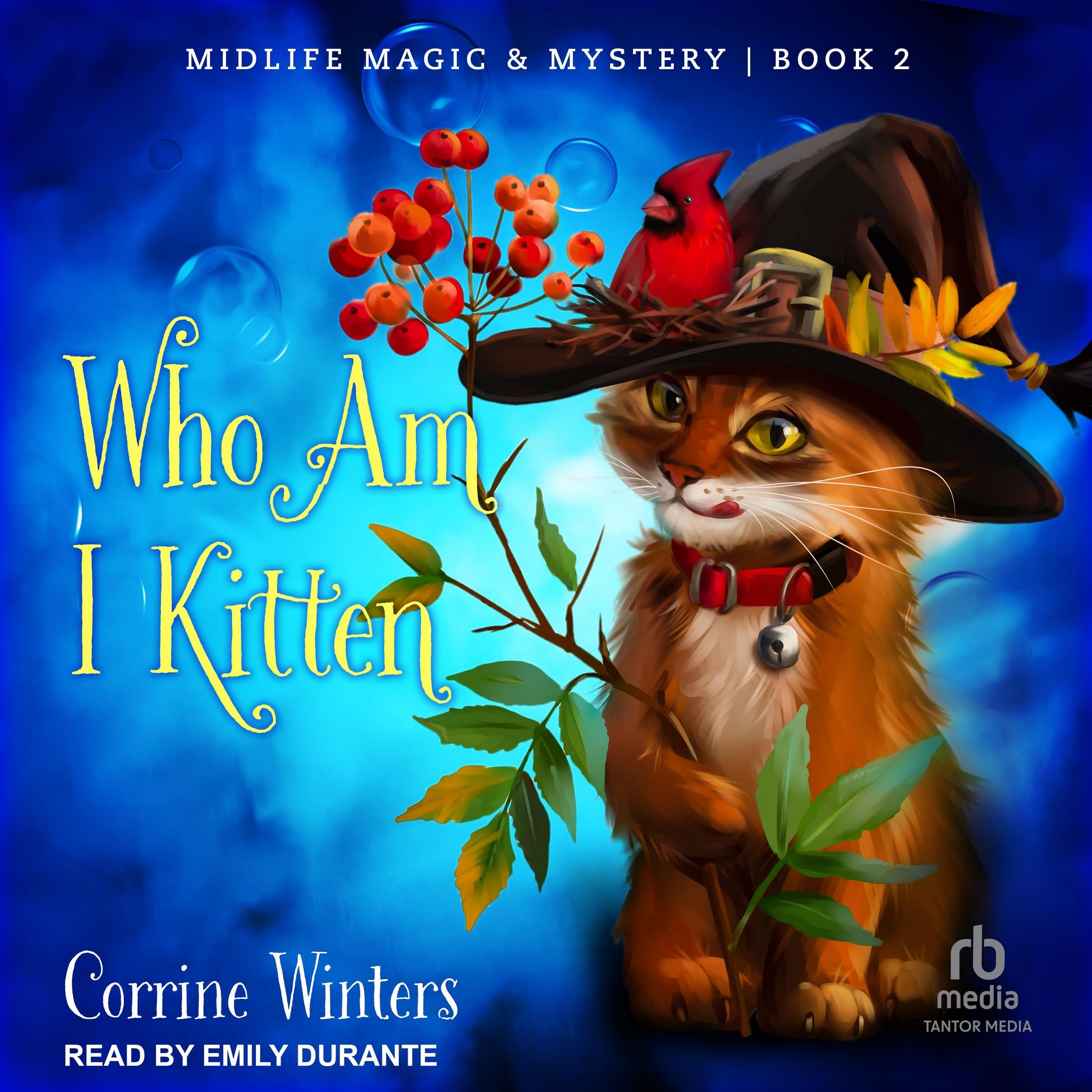 Who Am I Kitten by Corrine Winters | Goodreads