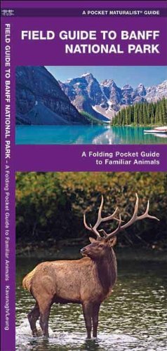 Banff National Park, Field Guide to: A Folding Pocket Guide to Familiar ...