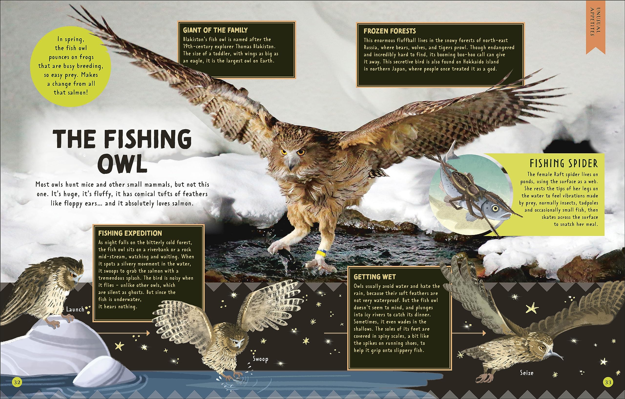 Odd Animals Out: More than 75 Animals that Break the Rules by Ben Hoare ...