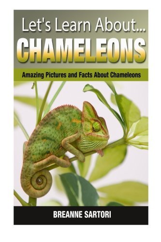 Chameleons: Amazing Pictures and Facts About Chameleons (Let's Learn ...