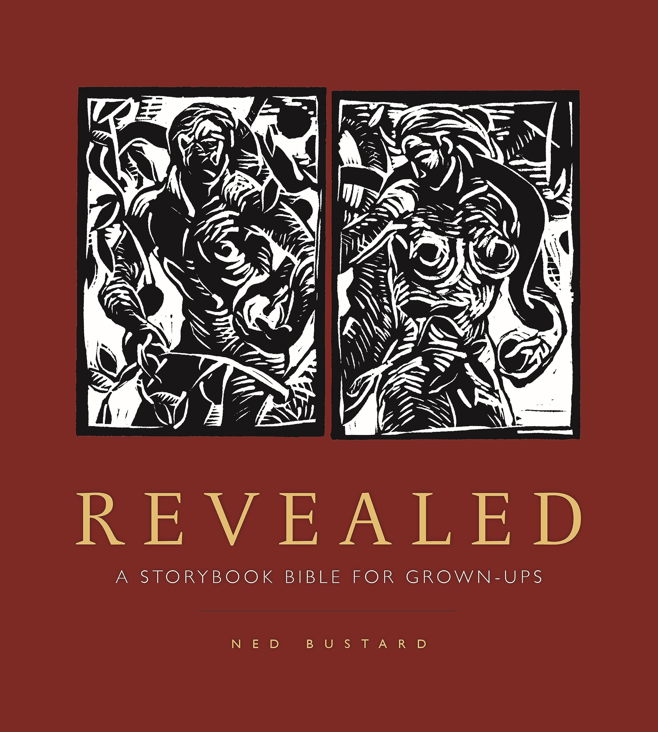 Revealed: A Storybook Bible for Grown-Ups by Edward Knippers | Goodreads