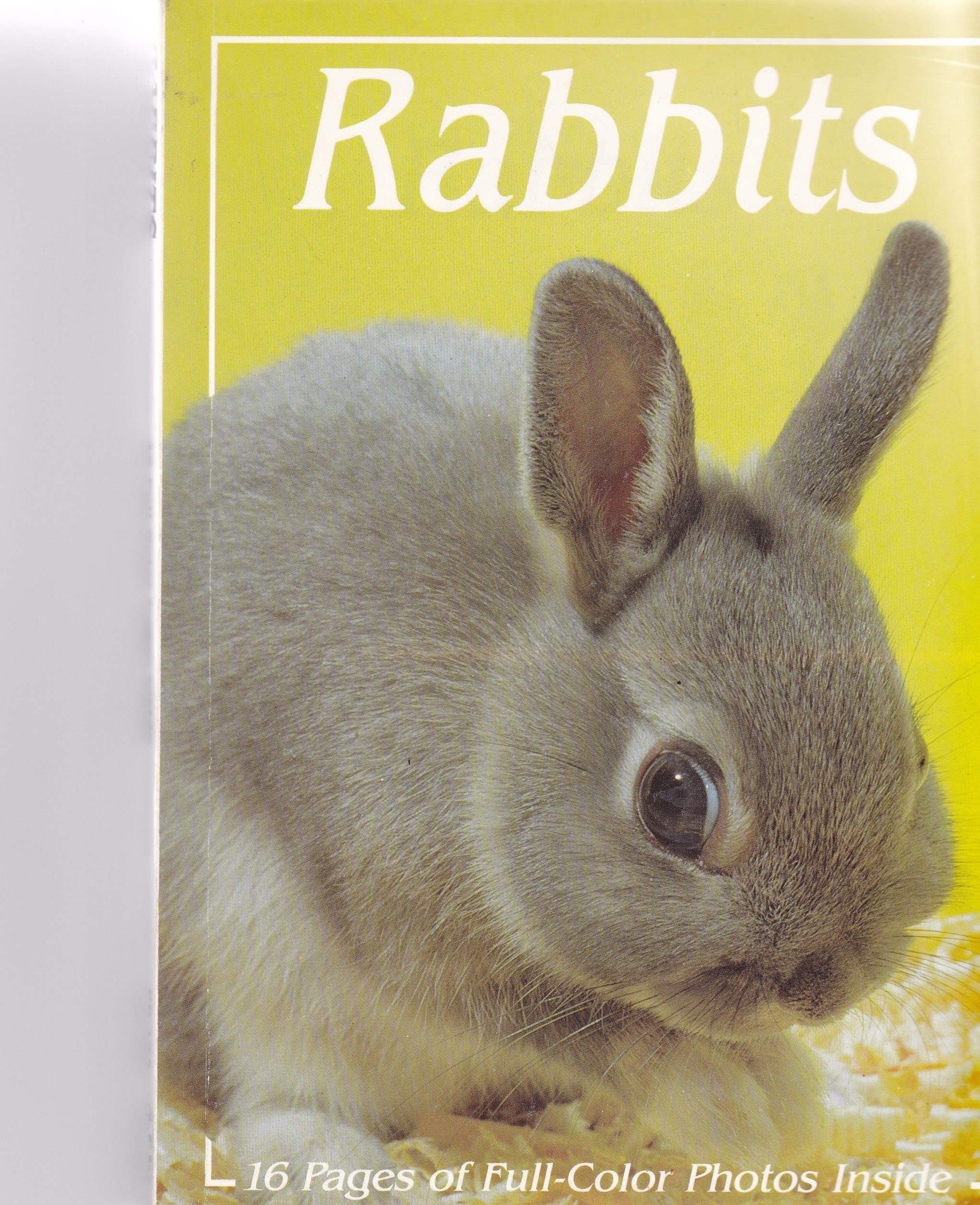 Rabbits by Mervin F. Roberts | Goodreads