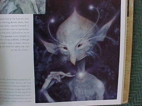 Rare GOOD FAERIES by FROUD; ART FAERY FANTASY ILLUSTRATED DRAWINGS ...