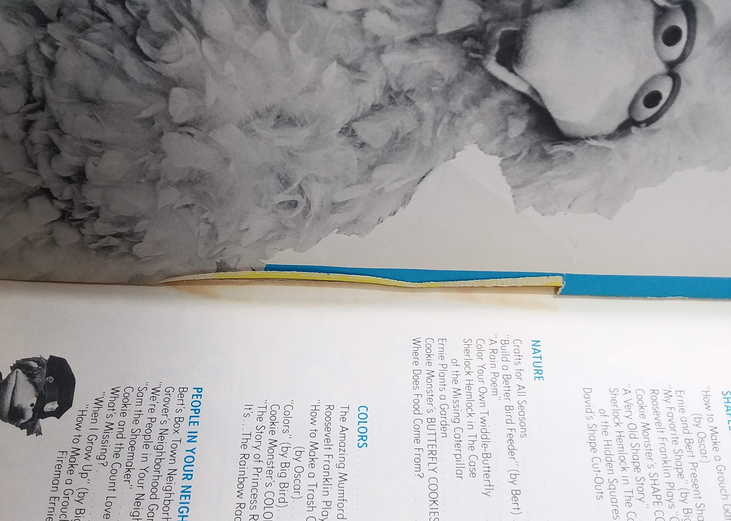 Big Bird's Busy Book by Michael Frith | Goodreads