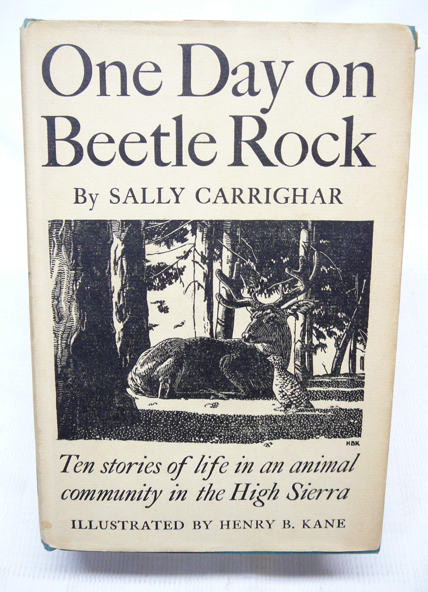 One Day on Beetle Rock: Ten Stories of Life in an Animal Community in ...