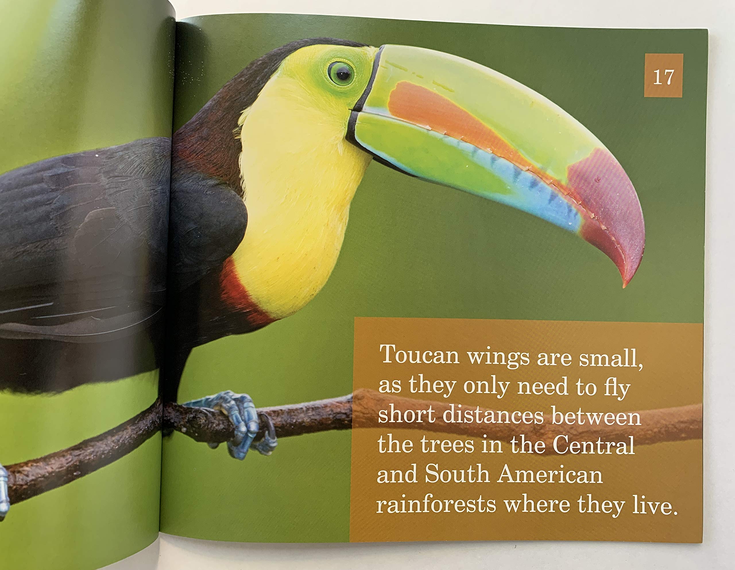 Going to the Rainforest by Wild Dog | Goodreads