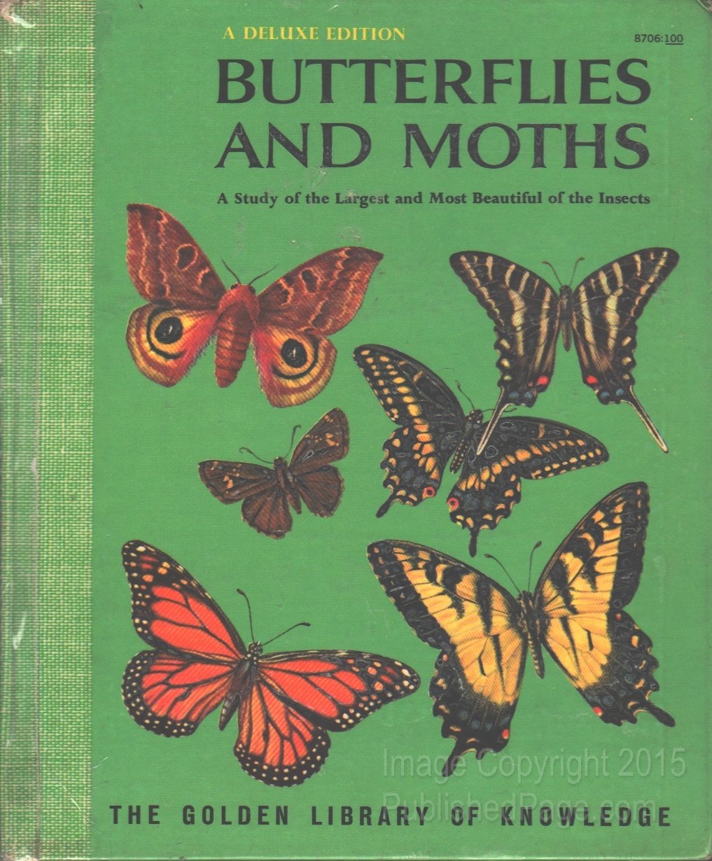Butterflies and Moths: A Study of the Largest and Most Beautiful of the ...