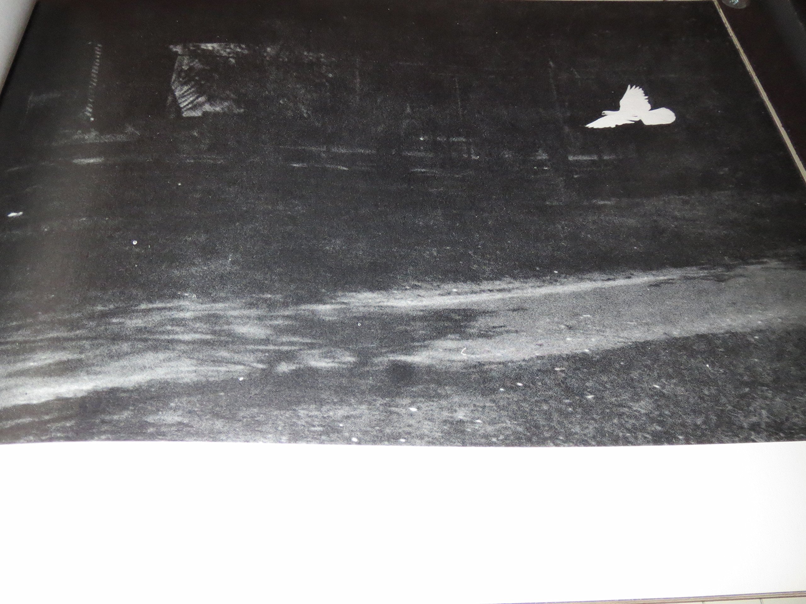 On My Eyes by Larry Eigner | Goodreads