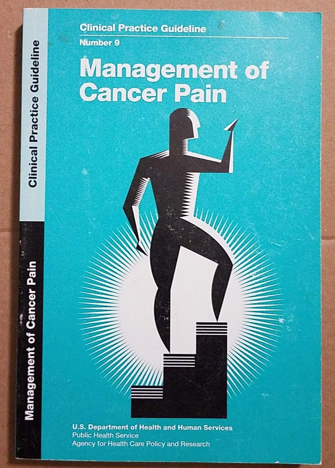 Management of Cancer Pain Clinical Practice Guideline No. 9 by Public ...
