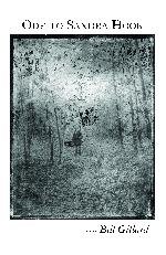 Ode to Sandra Hook by Bill Gillard | Goodreads