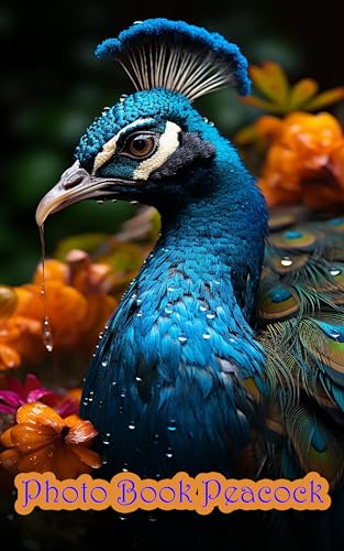 Elegance Unveiled: Peacock Portraits: Stunning Close-ups of Peacocks, Capturing Their Majestic ...