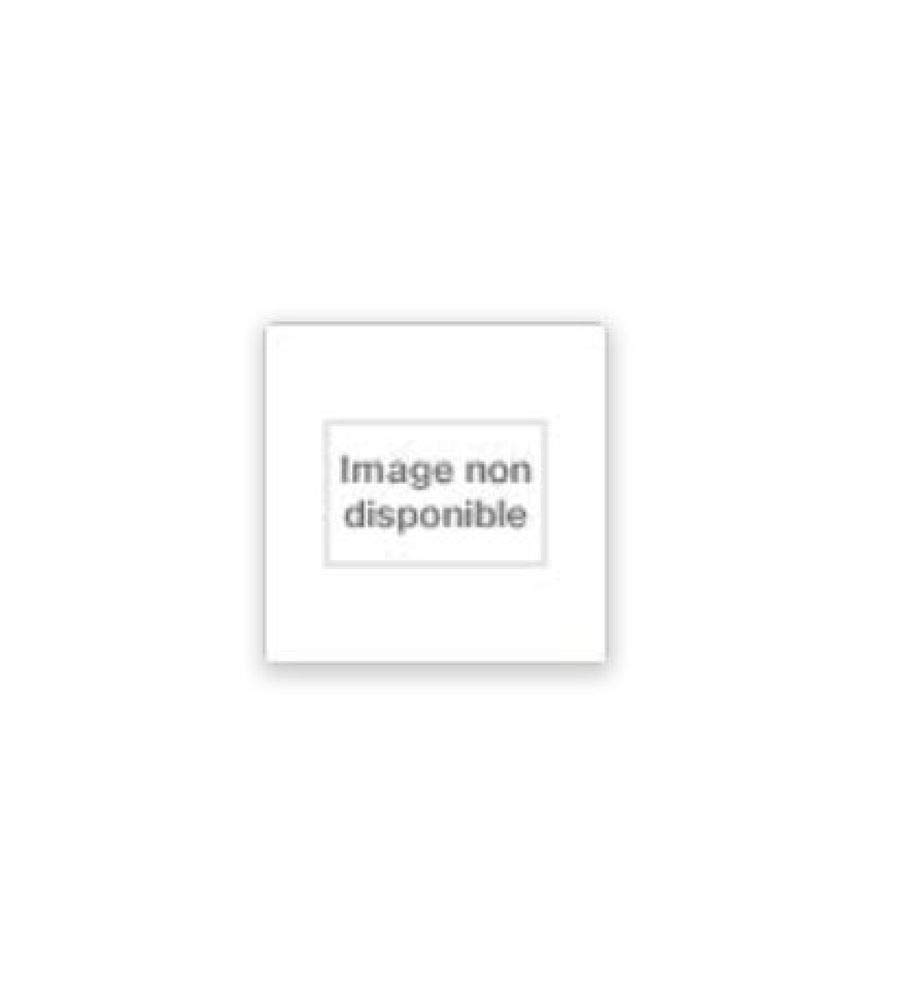 Les Veilleurs De L'apocalypse: Millénarisme Et Nouvelles Religions Au ...