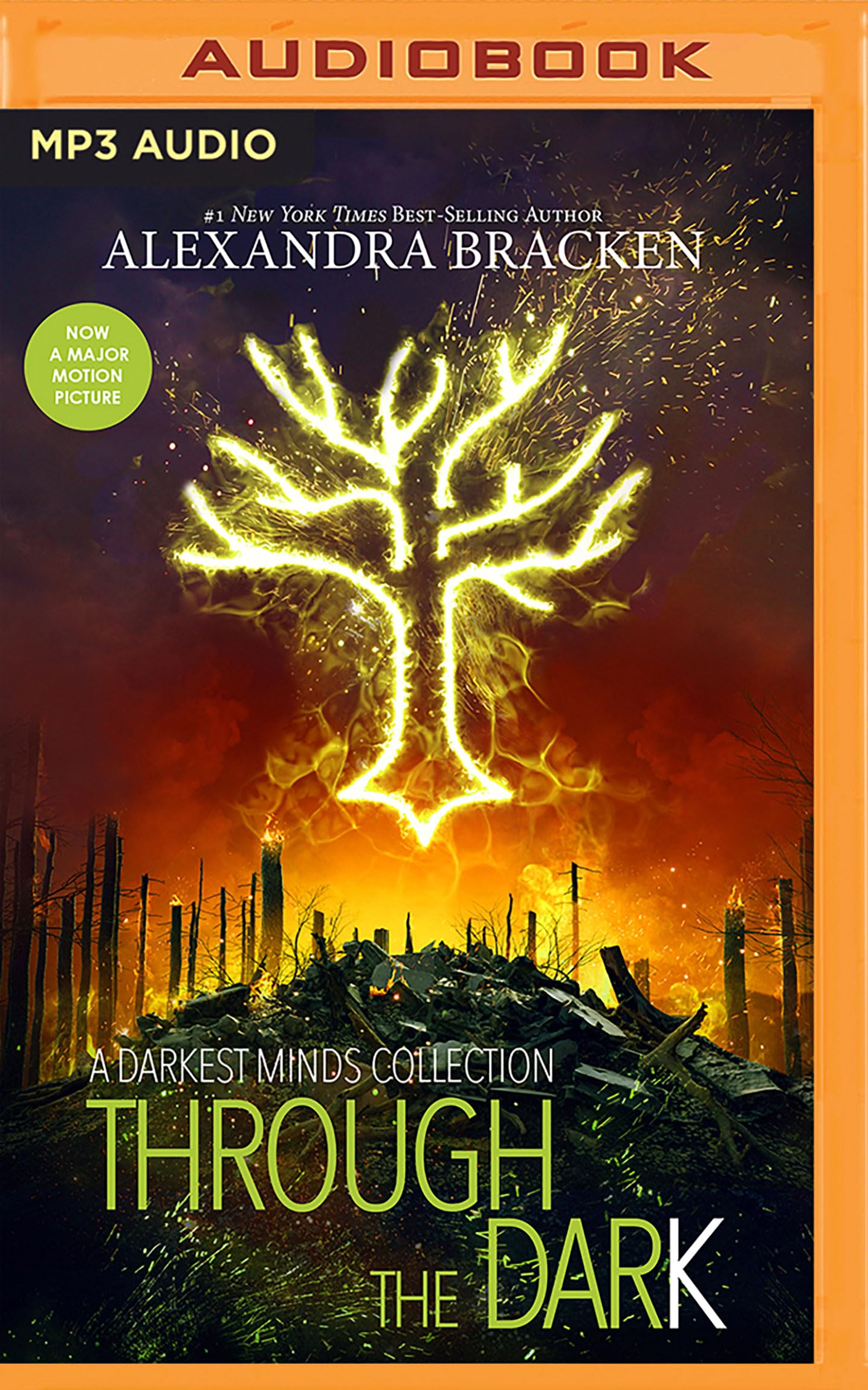Through the Dark: A Darkest Minds Collection by Alexandra Bracken ...
