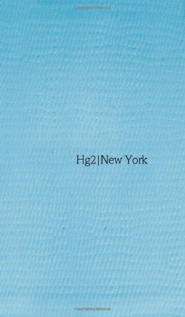 Hg2: A Hedonist's Guide to New York by Andrew Stone (8-Jan-2010 ...
