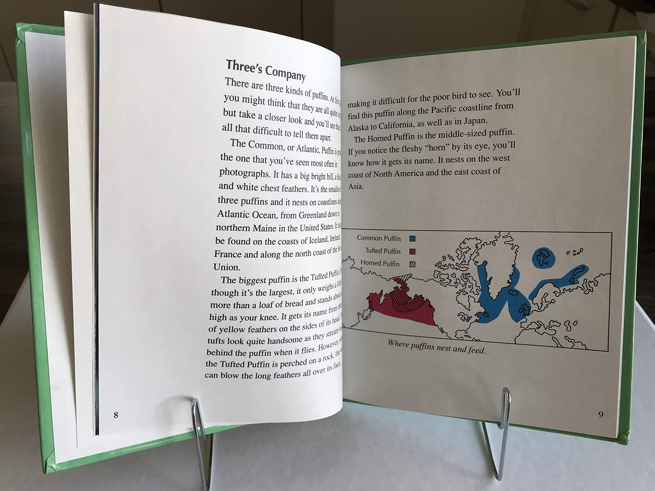 Our Wildlife World : Pandas by Elizabeth MacLeod | Goodreads