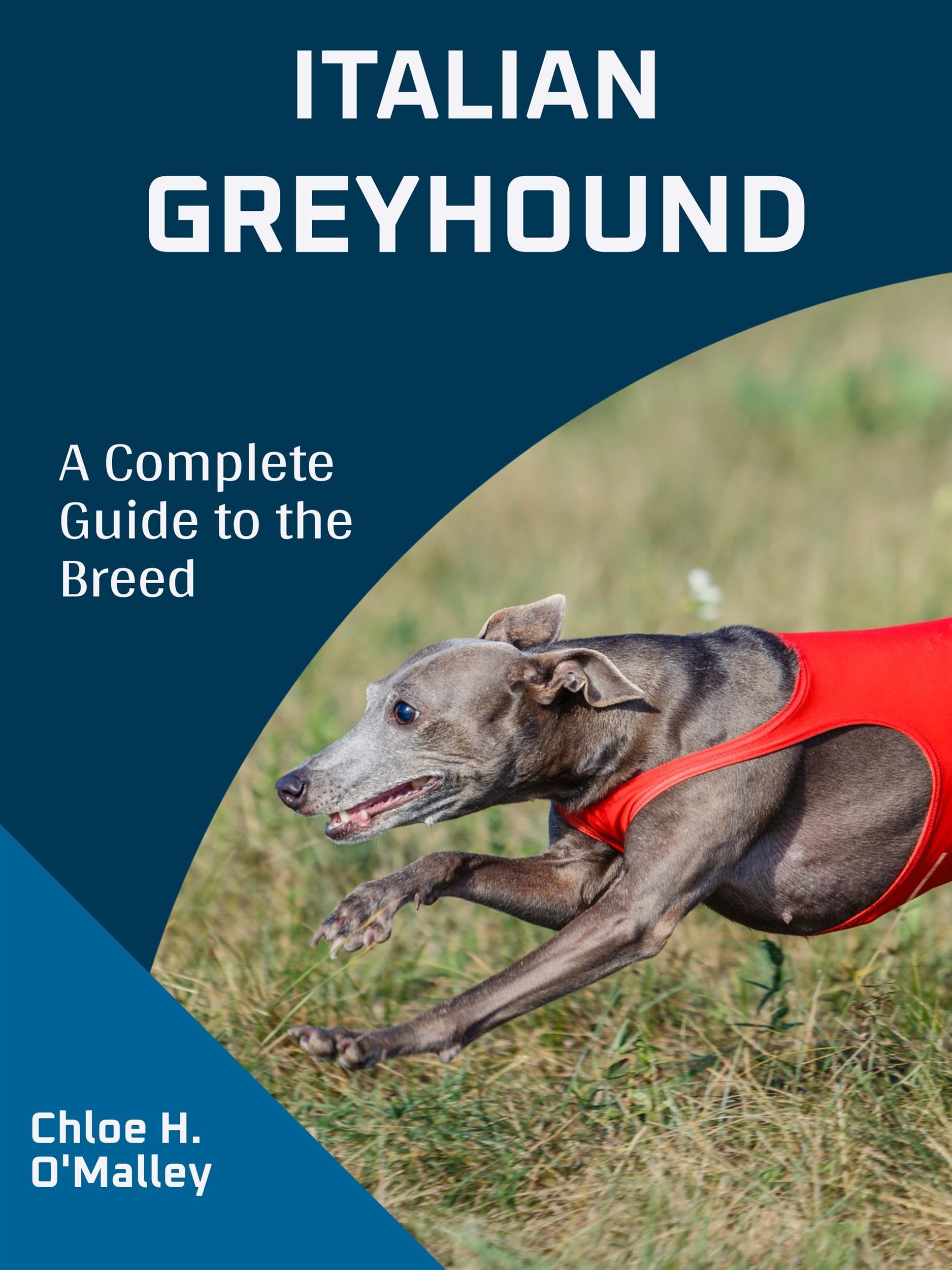 Italian Greyhound: A Complete Guide to the Breed by Chloe H. O'Malley ...