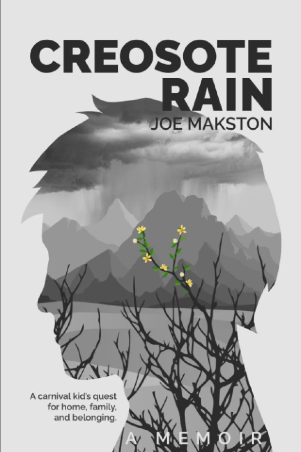 Creosote Rain: A carnival kid's quest for home, family, and belonging ...