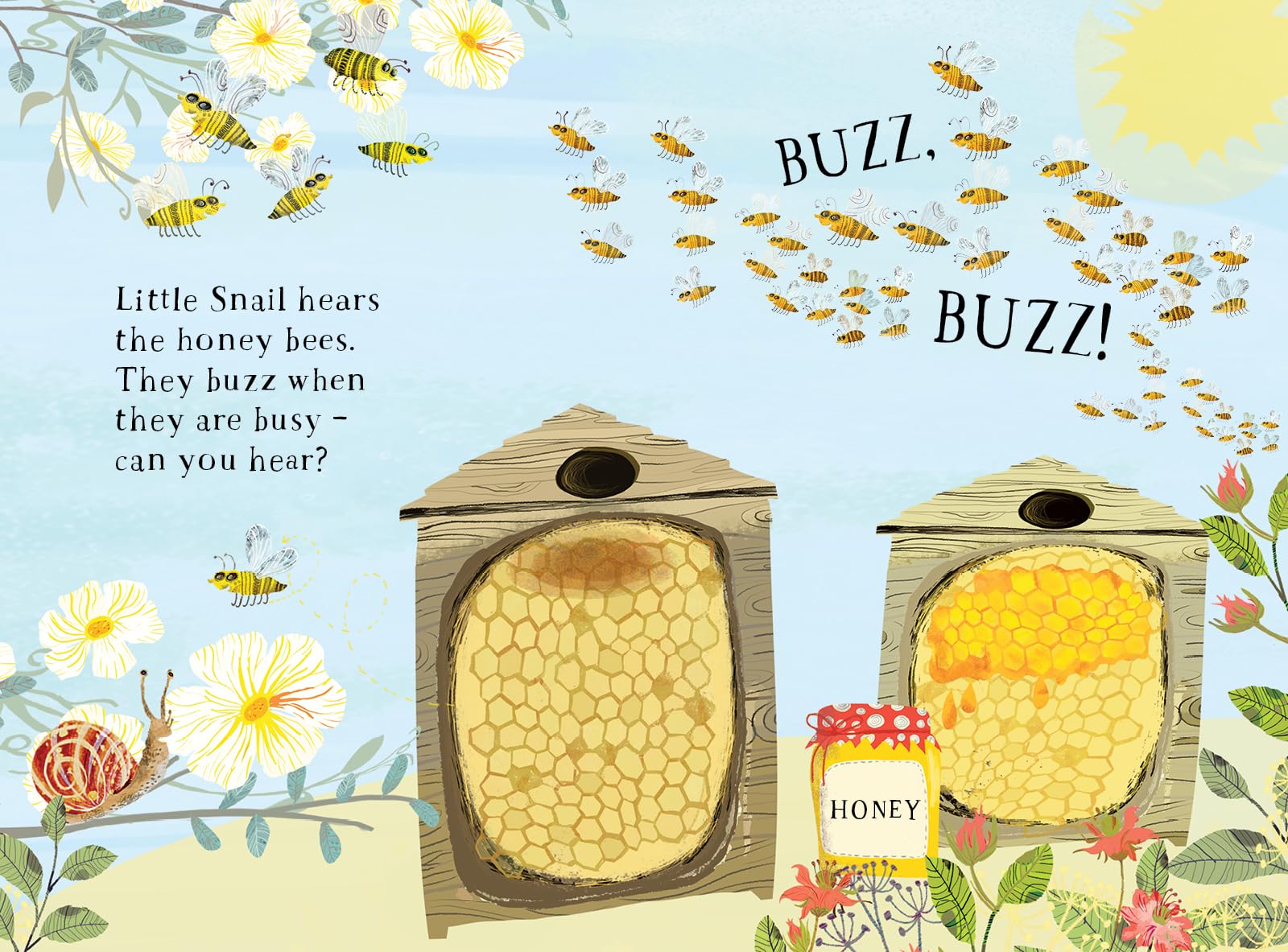 Little Snail's Book of Bugs (The Big Book Series) by Yuval Zommer | Goodreads
