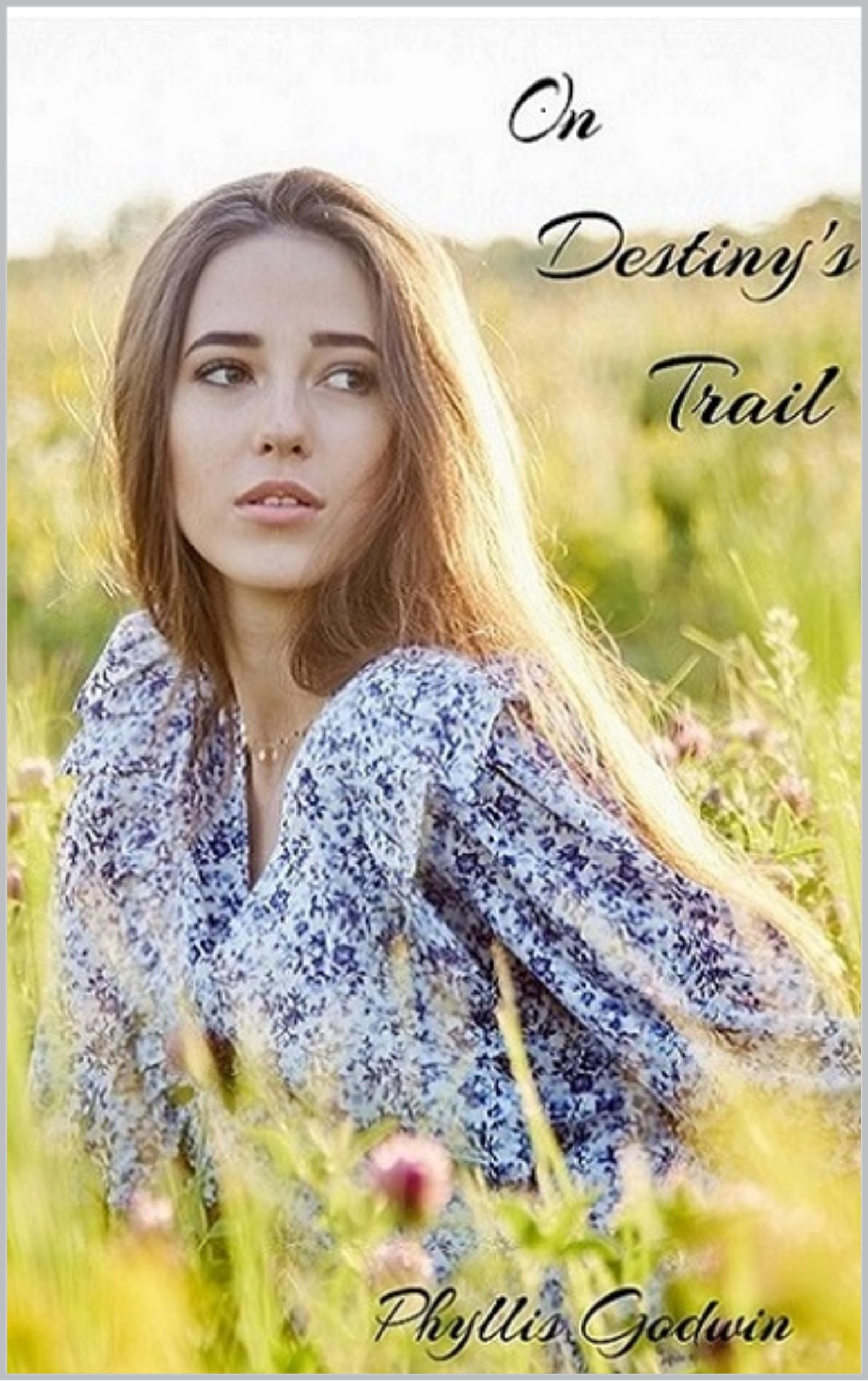 On Destiny's Trail (Trail Toward Destiny Book 2) by Phyllis Godwin ...