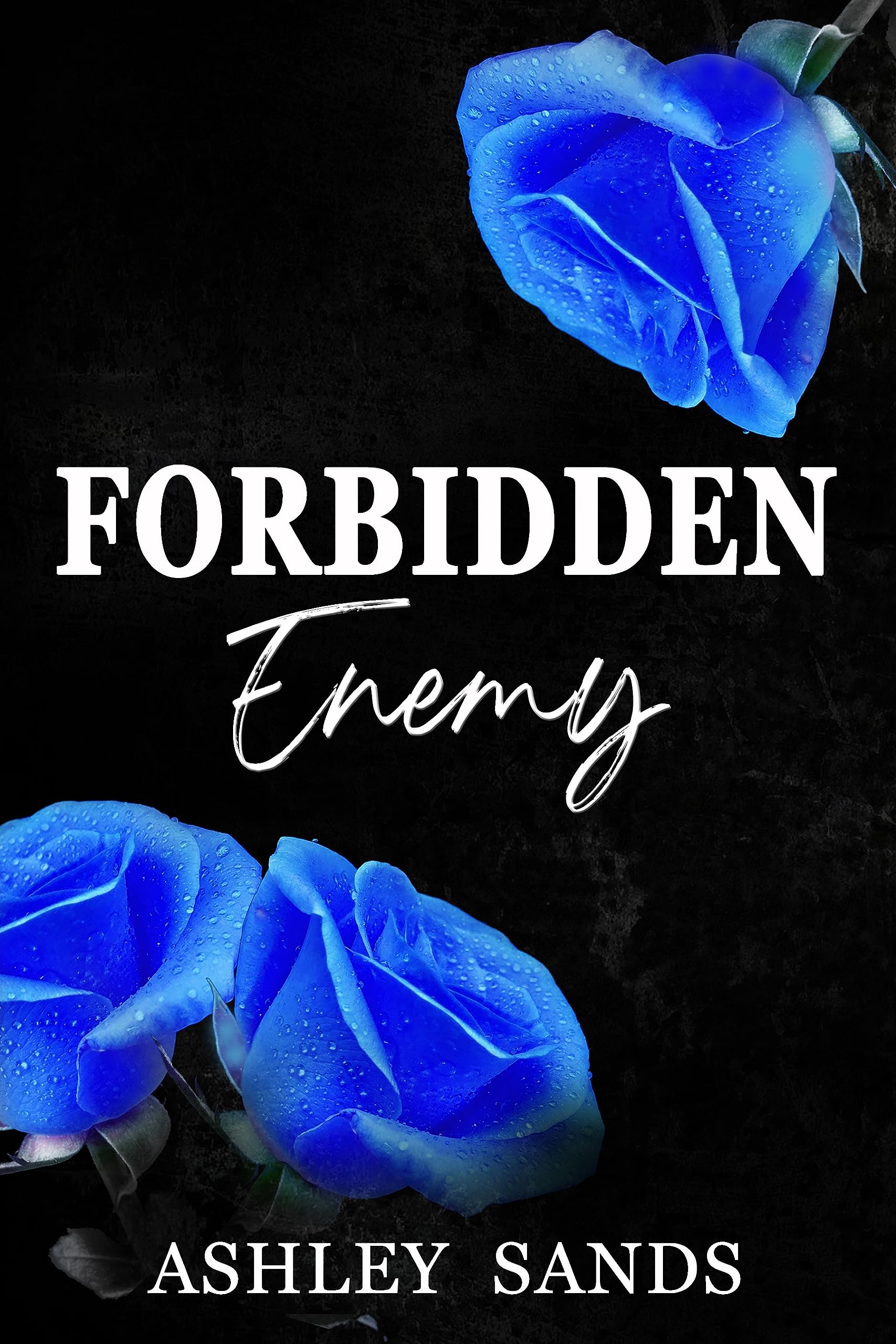 Forbidden Enemy (Forbidden Romance #3) by Ashley Sands | Goodreads