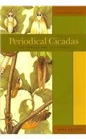 Periodical Cicadas: The Plague and the Puzzle by Gene Kritsky | Goodreads