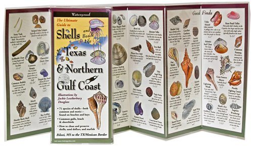 Shells and Beach Life of Texas & Northern Gulf Coast (Foldingguides) by ...