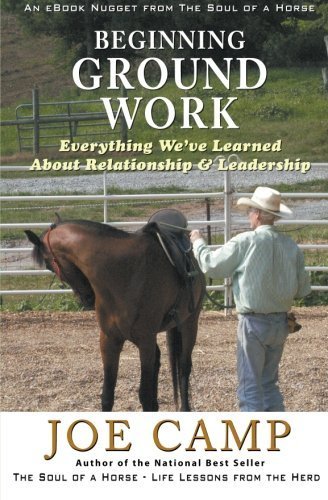 Beginning Ground Work: Everything We've Learned About Relationship and ...