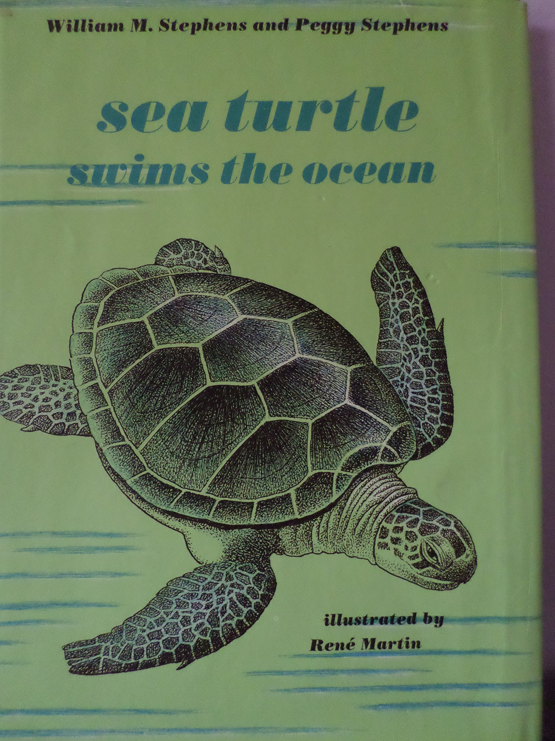 Sea Turtle swims the ocean by William M. Stephens | Goodreads