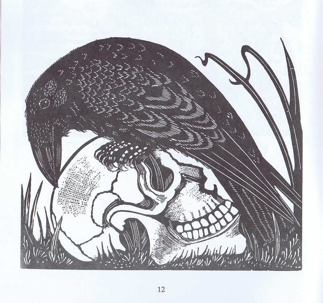 Raven Town aka Sitka by DeArmond Bob | Goodreads