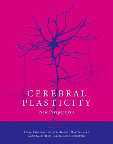 Cerebral Plasticity: New Perspectives [Hardcover] [2011] (Author) Leo M ...