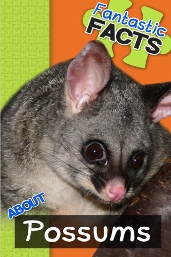 Fantastic Facts About Possums: Illustrated Fun Learning For Kids by ...