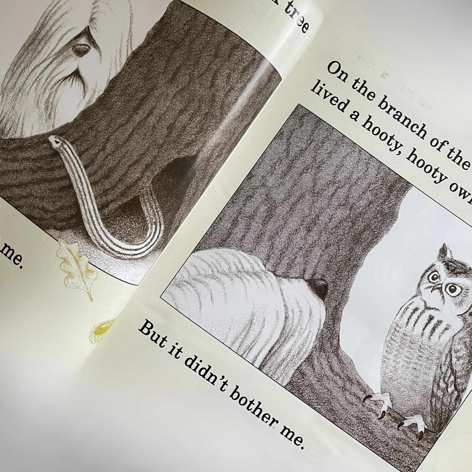 LITTLE CELEBRATIONS, THE OLD OAK TREE, BIG BOOK, EARLY, STAGE 2 by ...