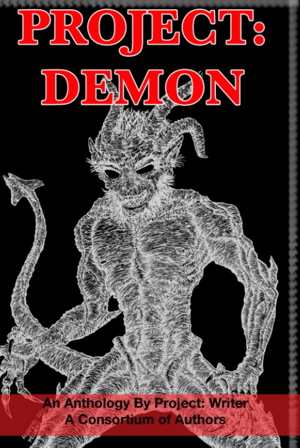 Project: Demon: Project: Demon, by Project: Writer, A Consortium of Authors is just such a ...