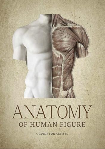 Anatomy of Human Figure. A Guide for Artists: Textbook by Vladimir ...