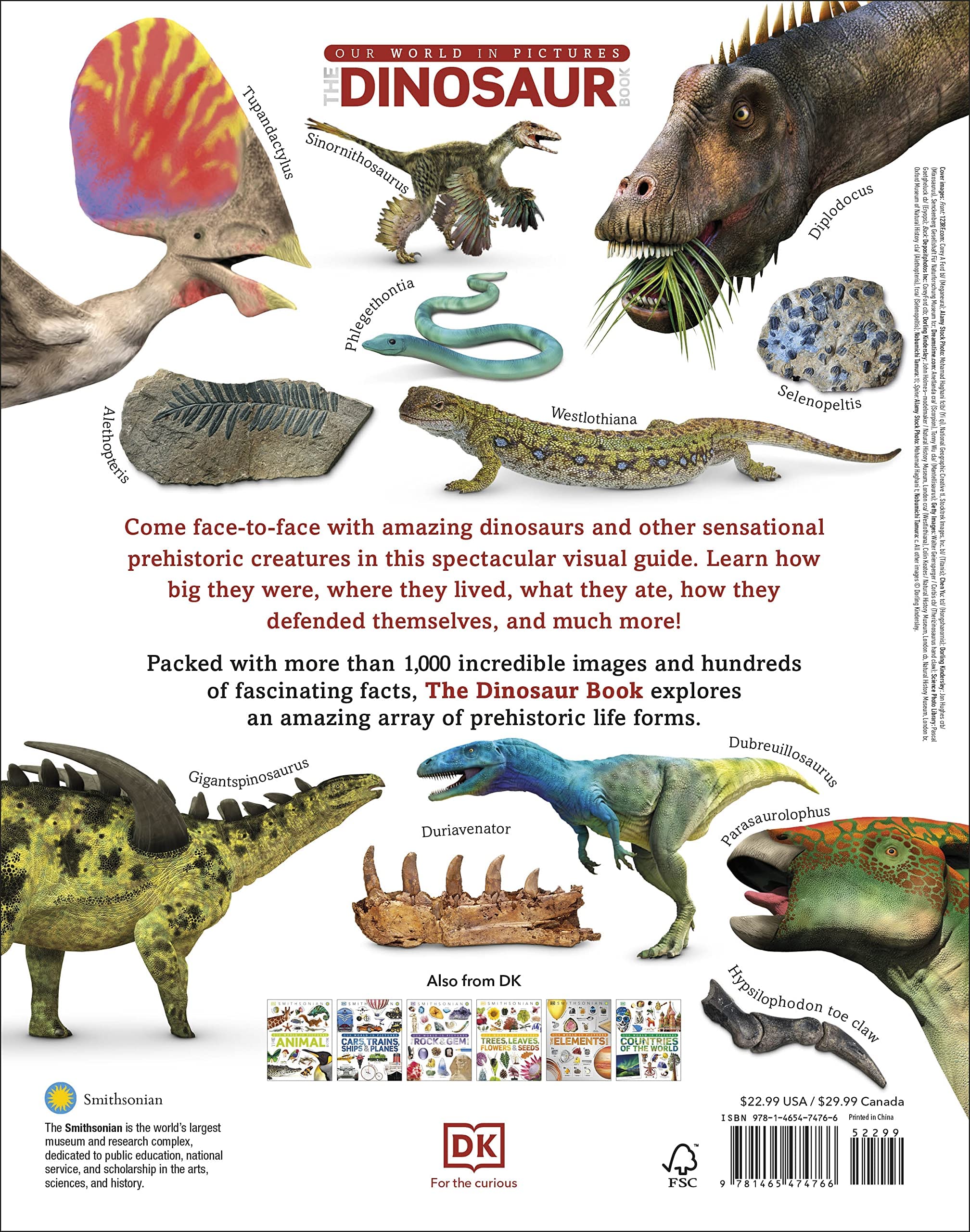 The Dinosaur Book [Spiral-bound] DK and John Woodward by D.K ...