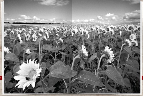 Mayors Across America - A 3,600 mile bicycle journey documenting the ...