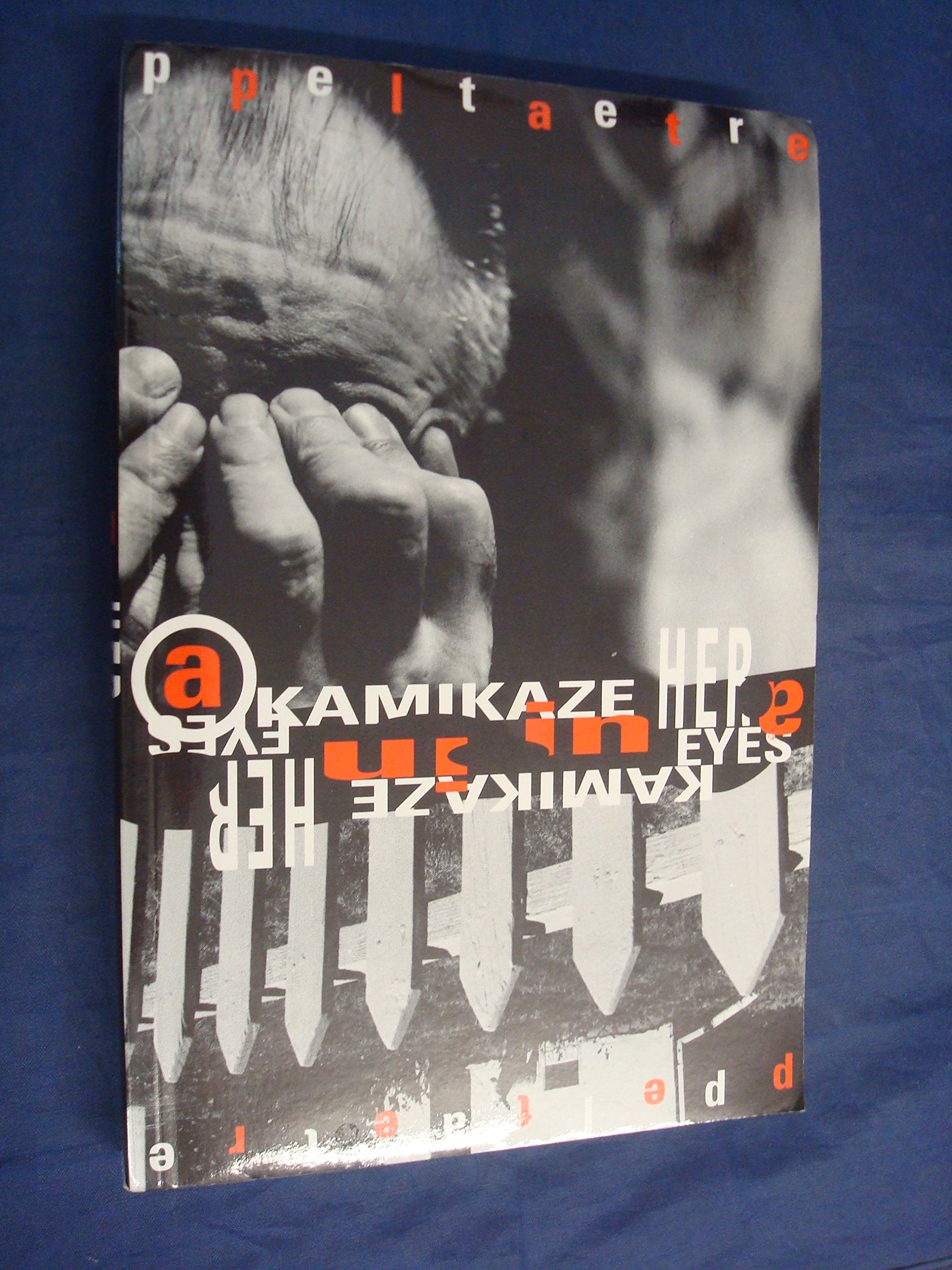 A Kamikaze in Her Eyes by Peter Plate | Goodreads