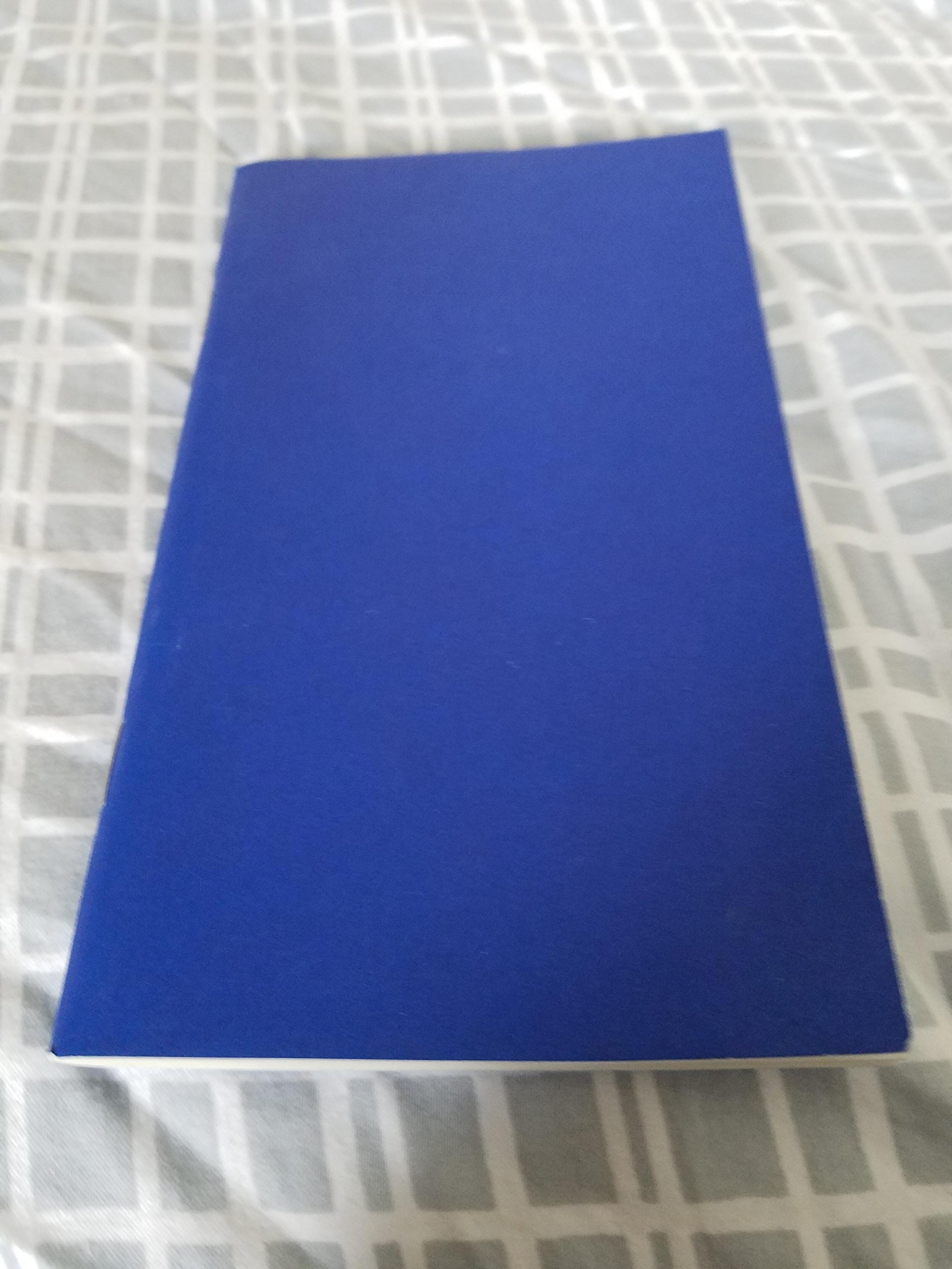 Little Blue Book Advent and Christmas Seasons 2014-2015: Six-minute ...