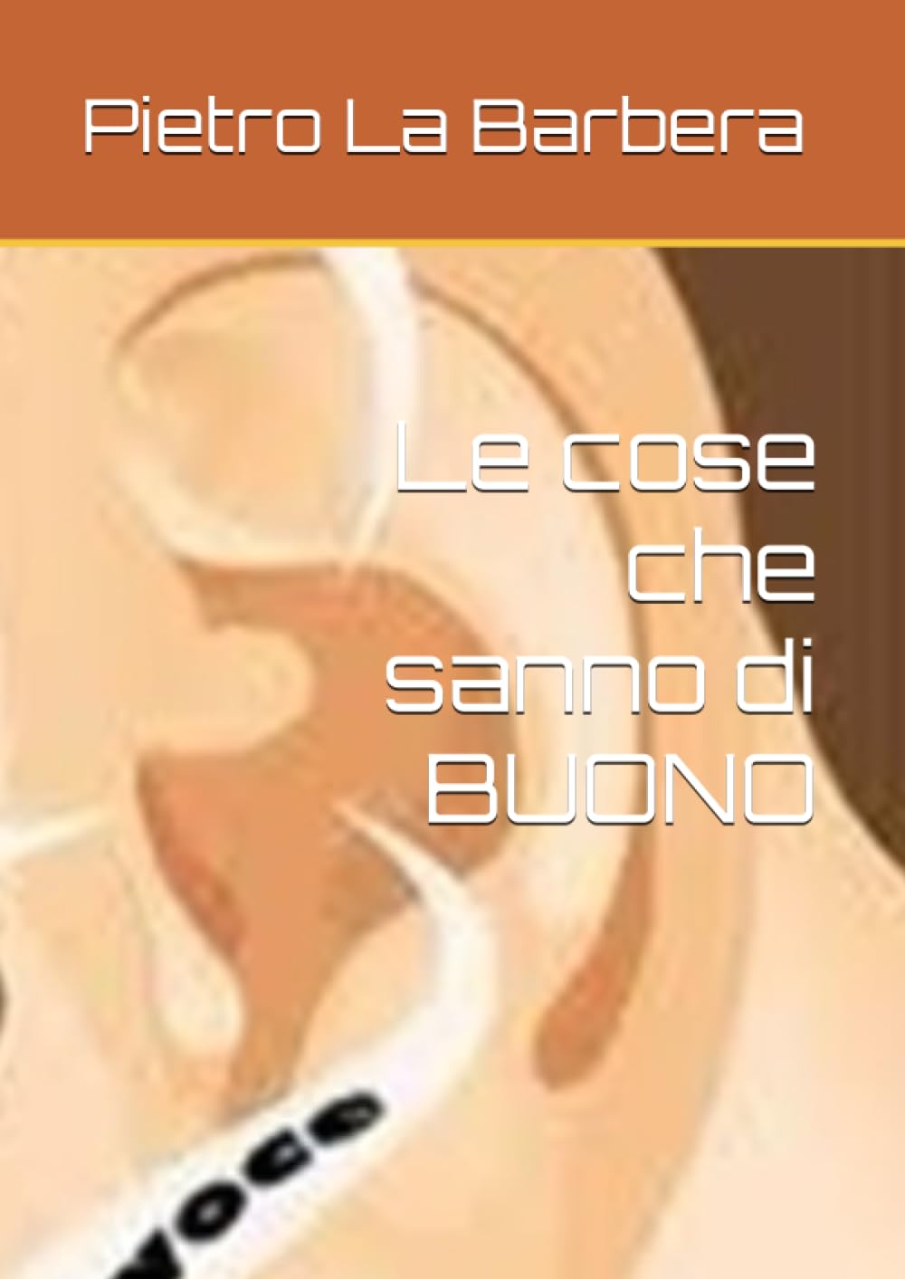 Le cose che sanno di BUONO (Italian Edition) by Pietro La Barbera ...