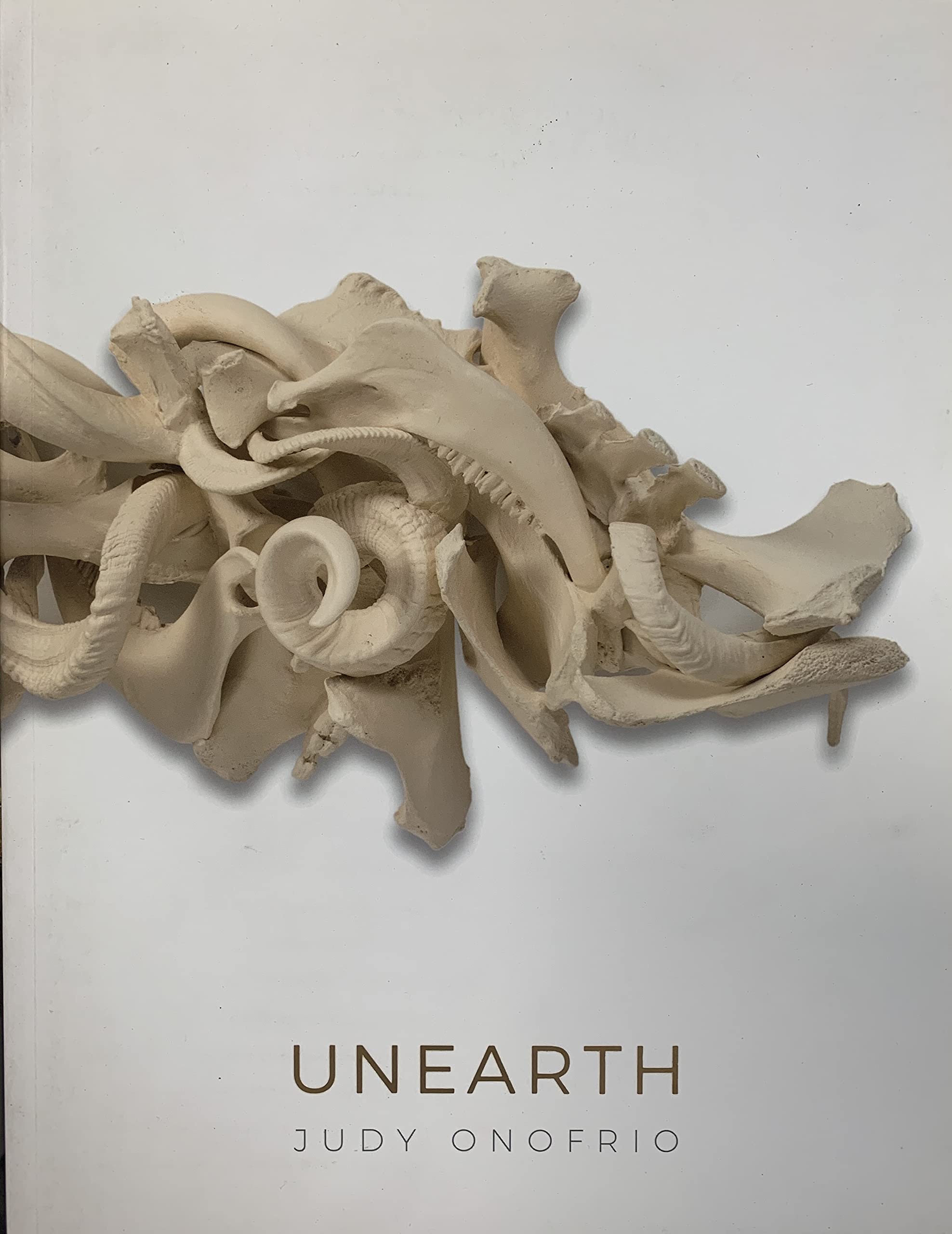 Unearth: Judy Onofrio by The Rochester Art Center | Goodreads