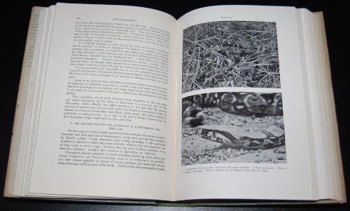 Adaptive Coloration in Animals. by Hugh B. Cott | Goodreads