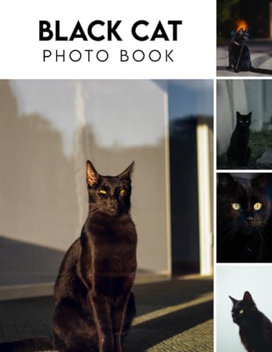 Black Cat Photo Book: Gorgeous Images For Relax And Unwind Colorful ...