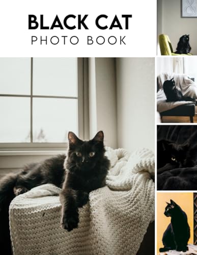 Black Cat Photo Book: An 2024 Animals Photography Book Featuring ...