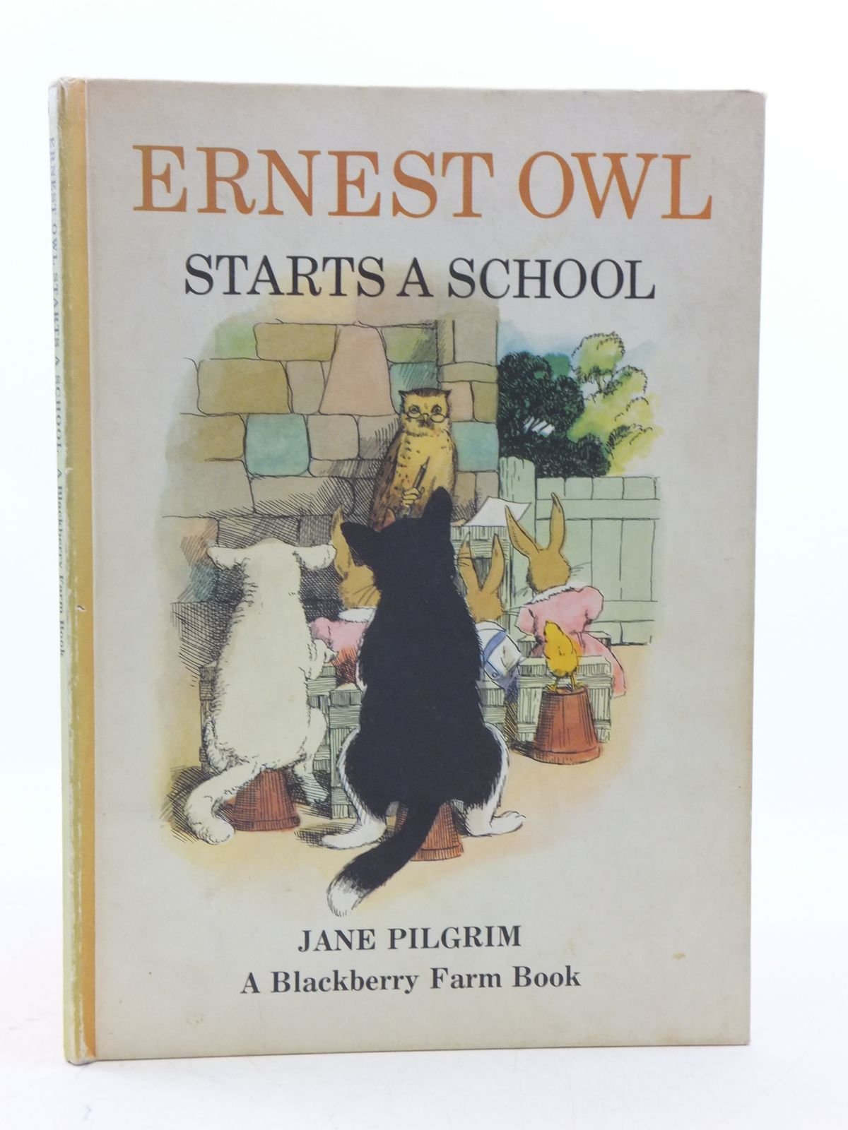 Ernest Owl starts a school; by Jane Pilgrim | Goodreads